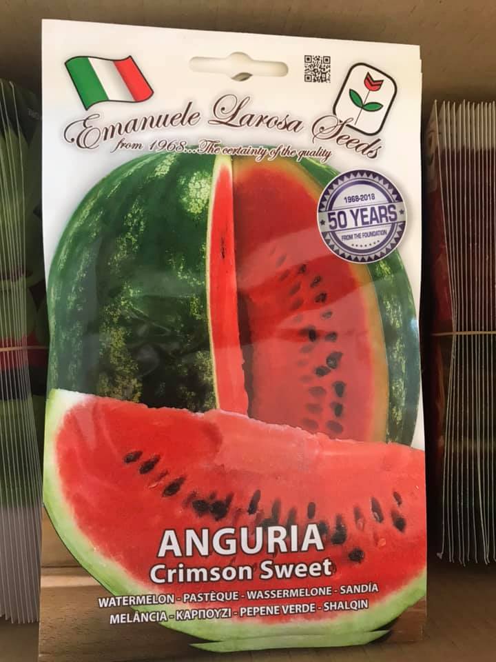 semi ANGURIA
