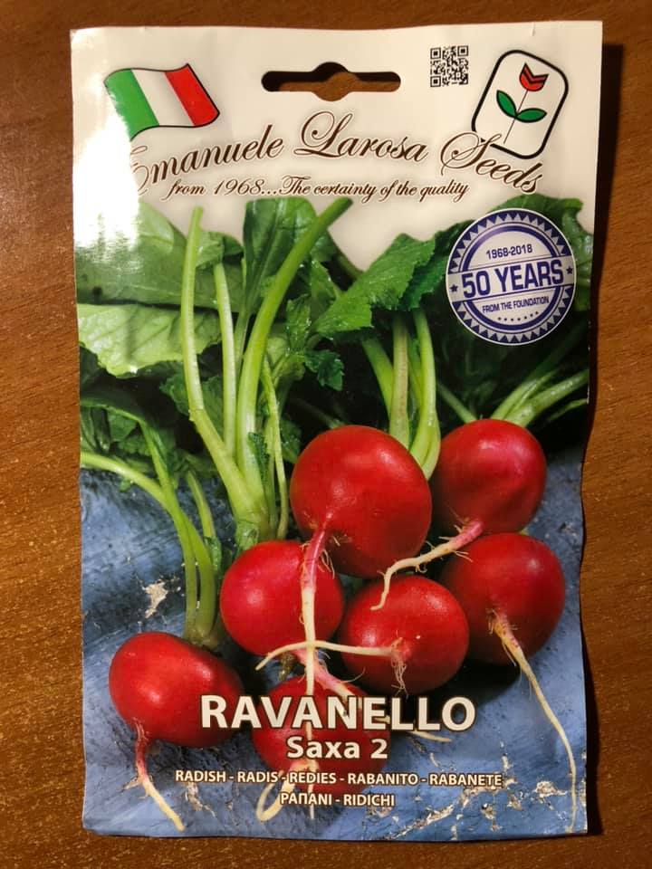 semi RAPA e RAVANELLO