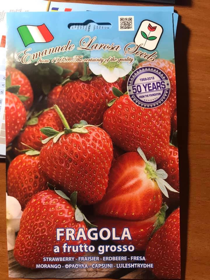 semi FRAGOLA
